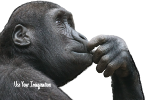 How to Use Your Imagination To Manifest Anything You Want ...